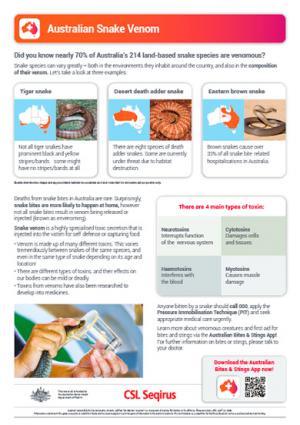 Snake Bite First Aid Poster